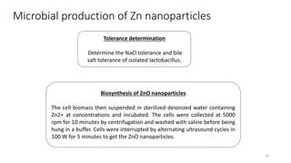 Microbial bio Synthesis of nanoparticles.pptx