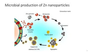 Microbial bio Synthesis of nanoparticles.pptx