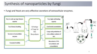 Microbial bio Synthesis of nanoparticles.pptx