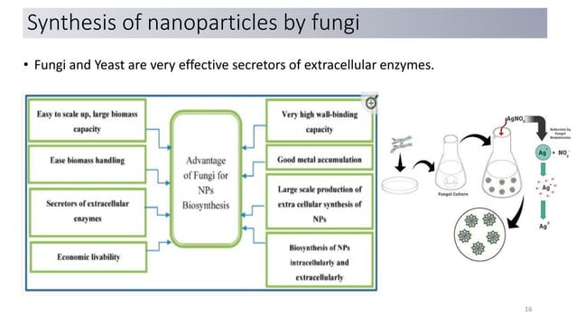 Microbial bio Synthesis of nanoparticles.pptx | Biological Sciences ...