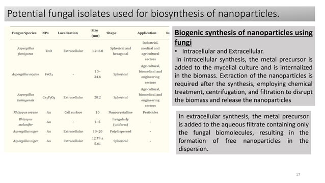 Microbial bio Synthesis of nanoparticles.pptx | Biological Sciences ...