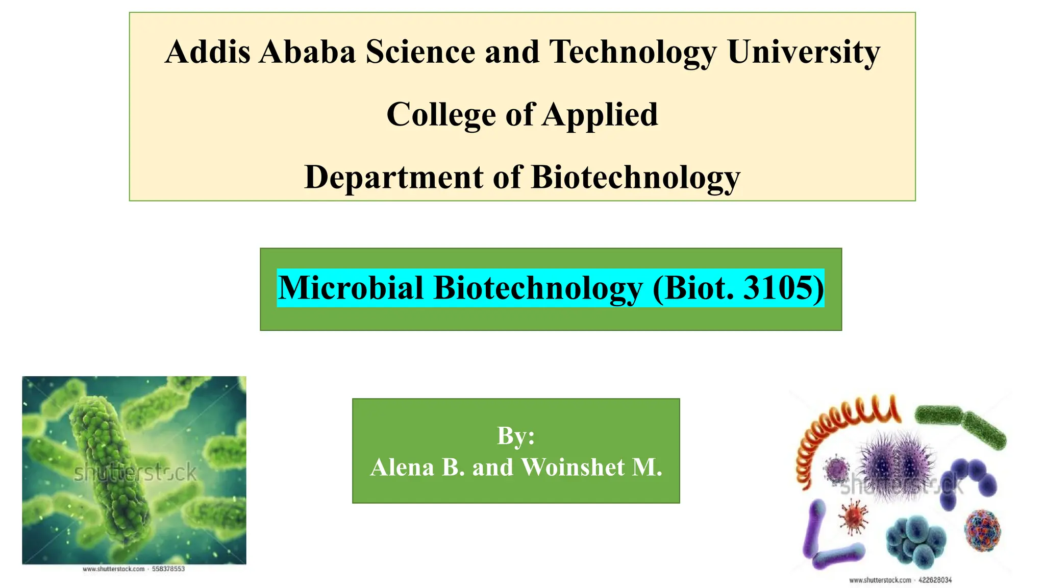 Microbial Biotech Final PPT This is introduction to microbial ...