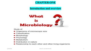 Microbial Biotech Final PPT This is introduction to microbial ...