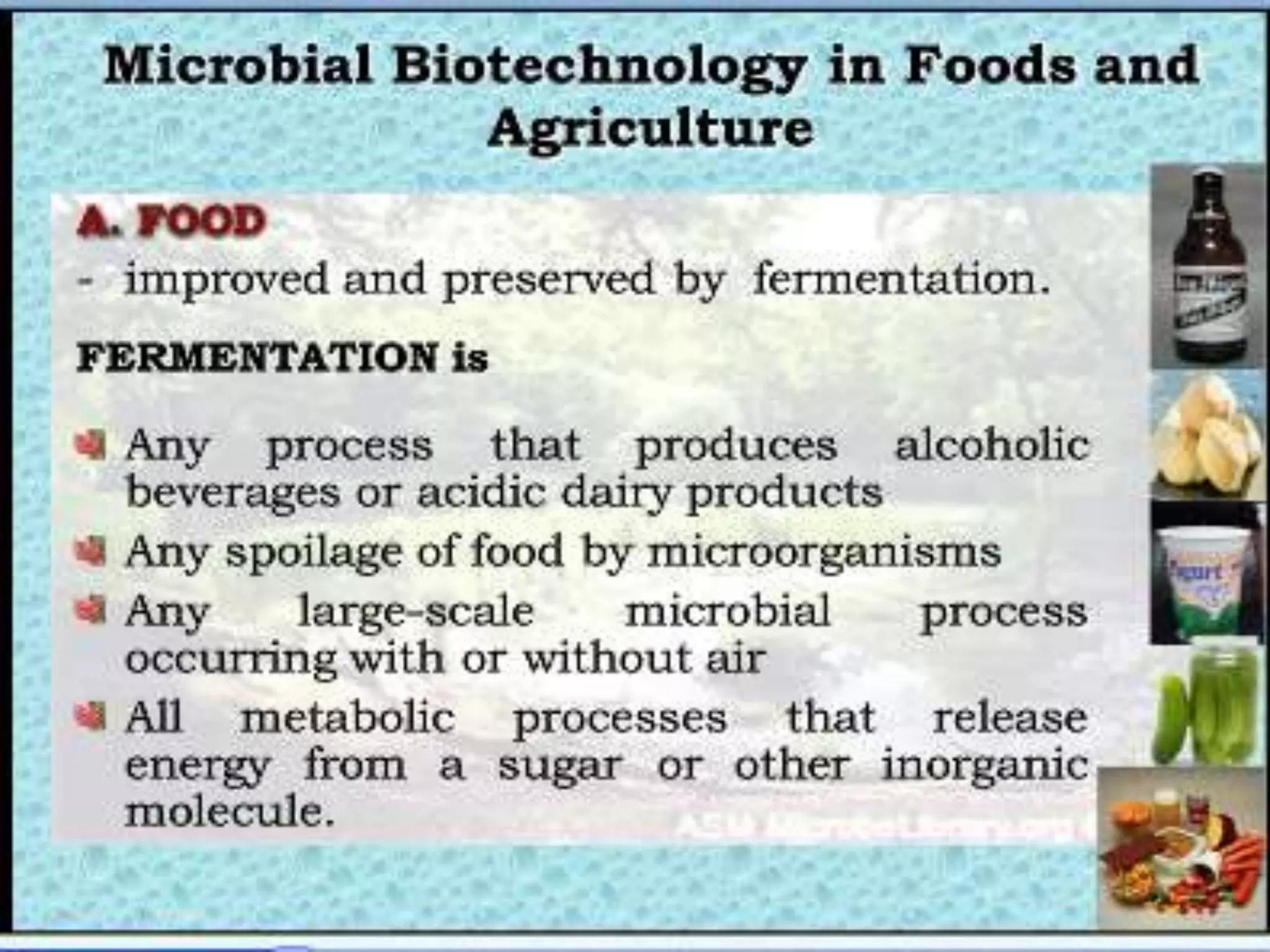 Microbial biotechnology | PPTX | Biological Sciences | Science