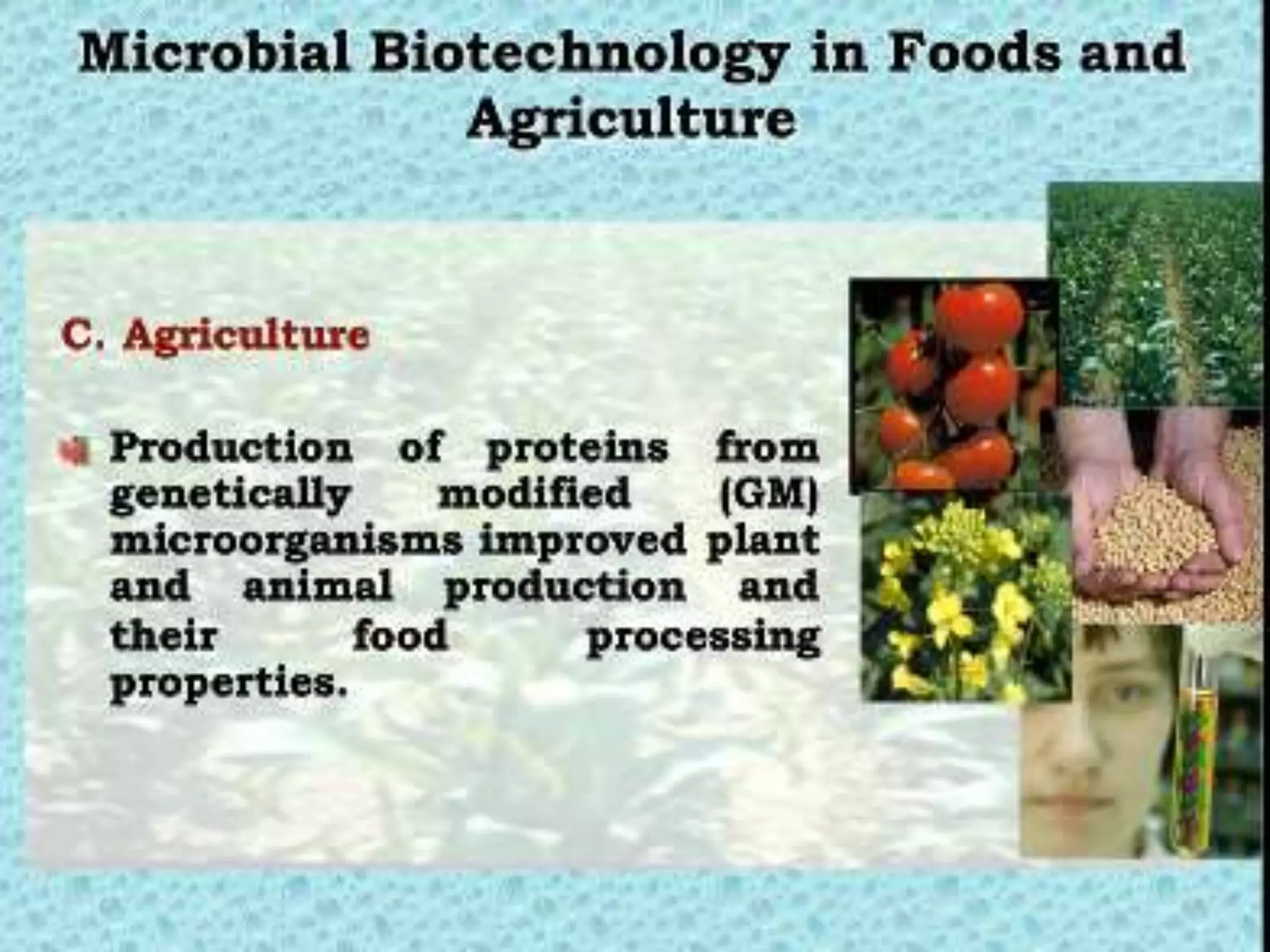 Microbial biotechnology | PPTX | Biological Sciences | Science