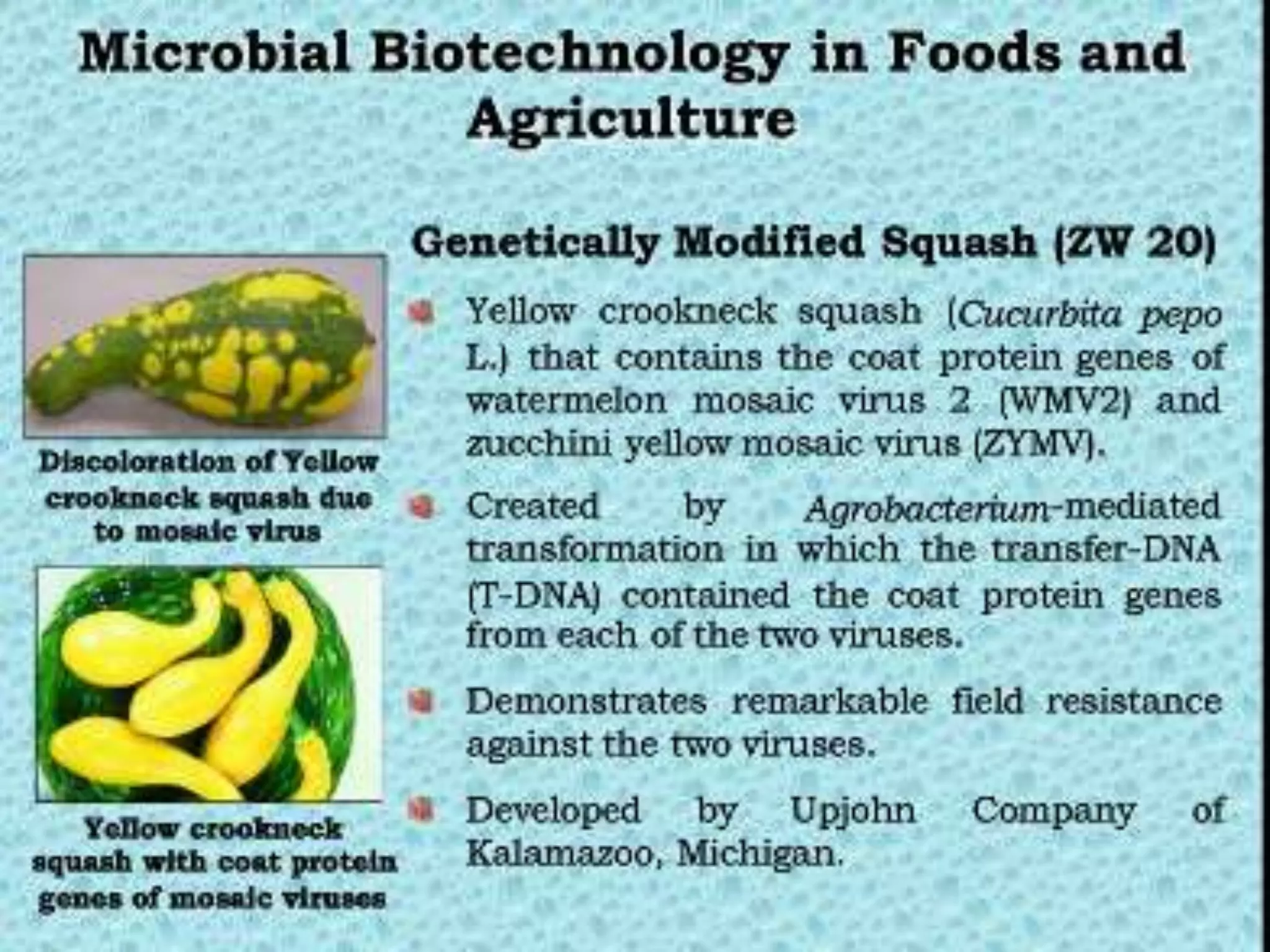 Microbial biotechnology | PPTX