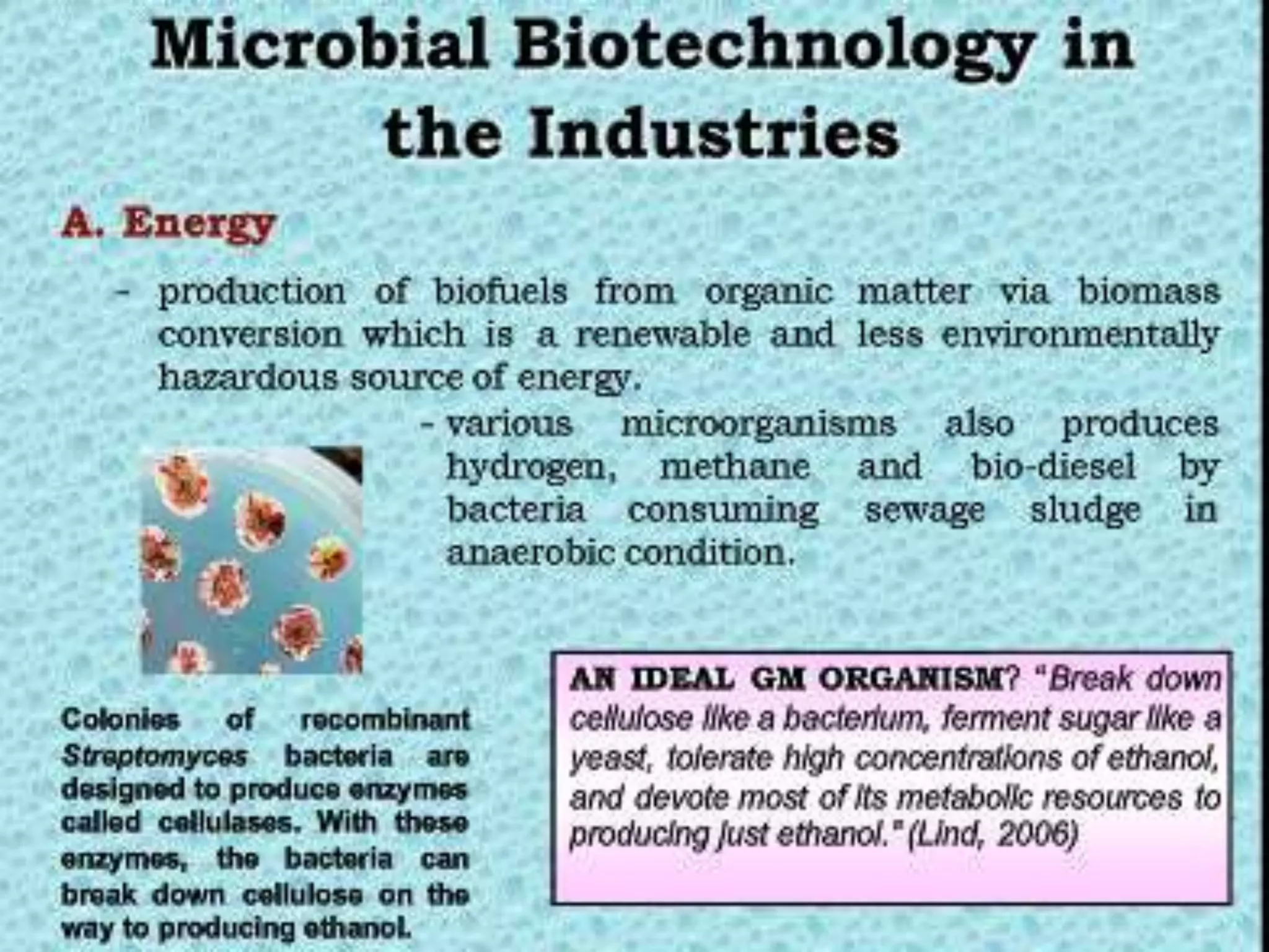 Microbial biotechnology | PPTX