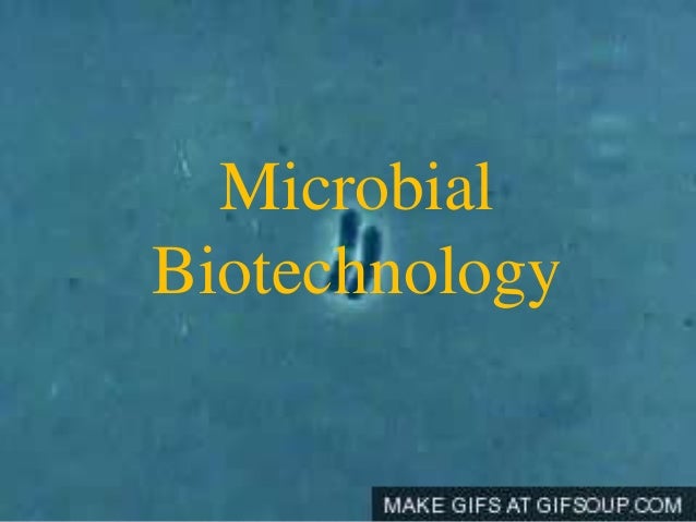 Microbial biotechnology Microbial biotechnology