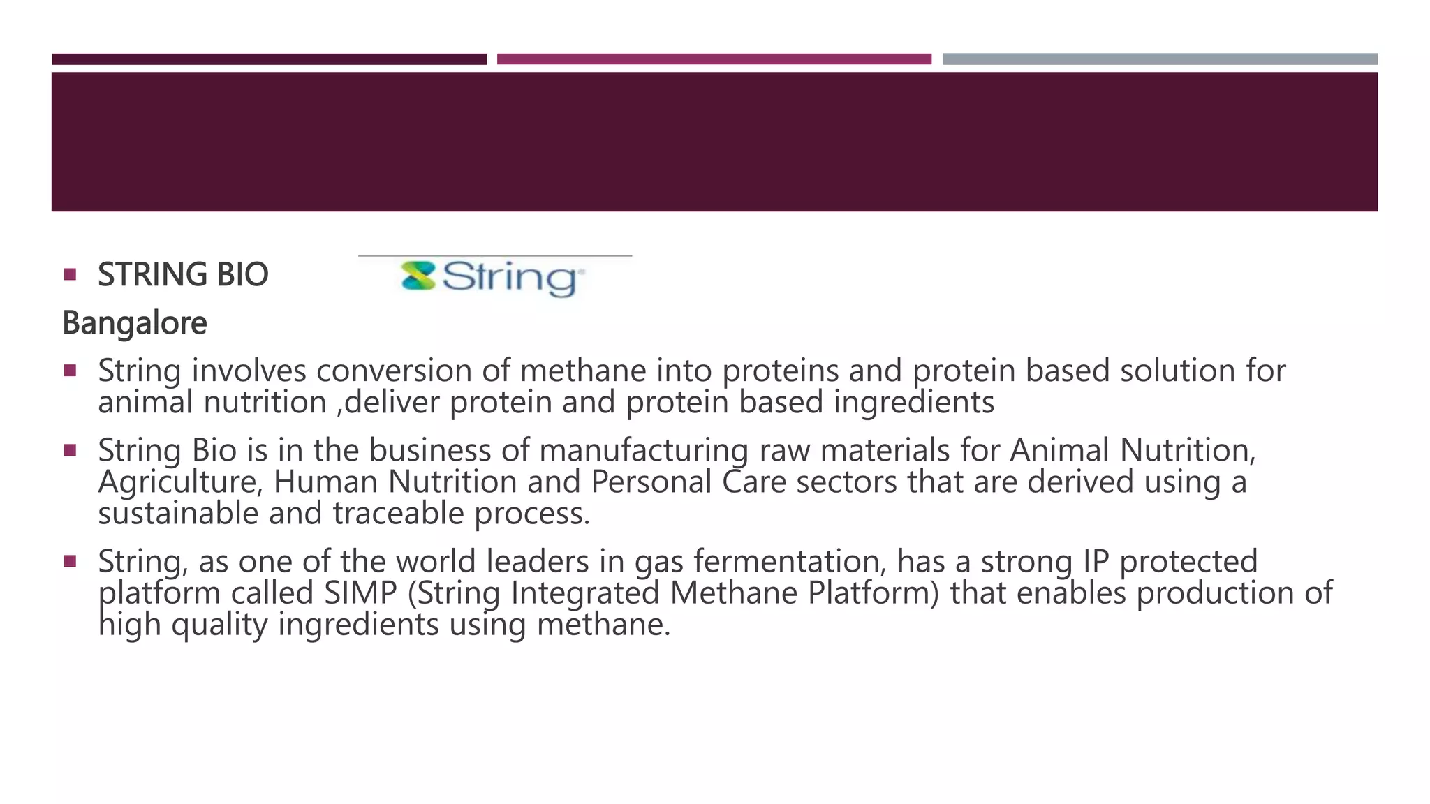 Fermentation industries in India | PPTX