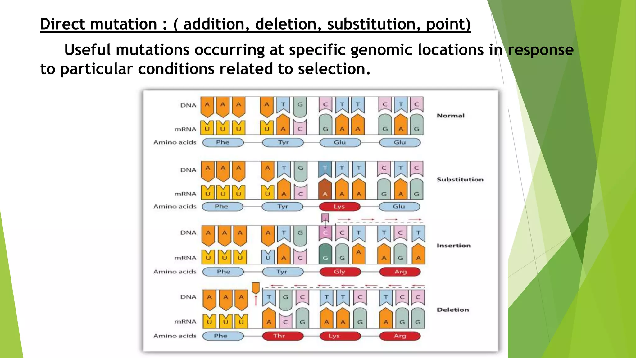 Microbial biotechnology unit 1 [B.Sc Biotechnology].pptx | Biological Sciences | Science