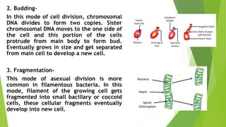 Microbial biotechnology unit 1 [B.Sc Biotechnology].pptx