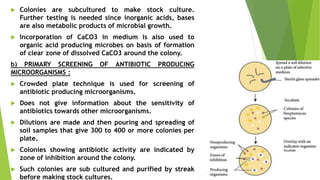 Microbial biotechnology unit 1 [B.Sc Biotechnology].pptx