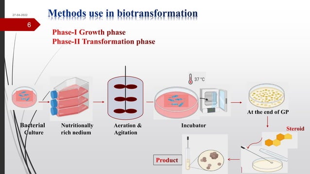 Microbial biotransformation.pptx | Endocrine and Metabolic Diseases ...