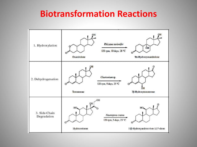 MICROBIAL BIOTRANSFORMATION & ITS APPLICATIONS.pptx | Endocrine and ...