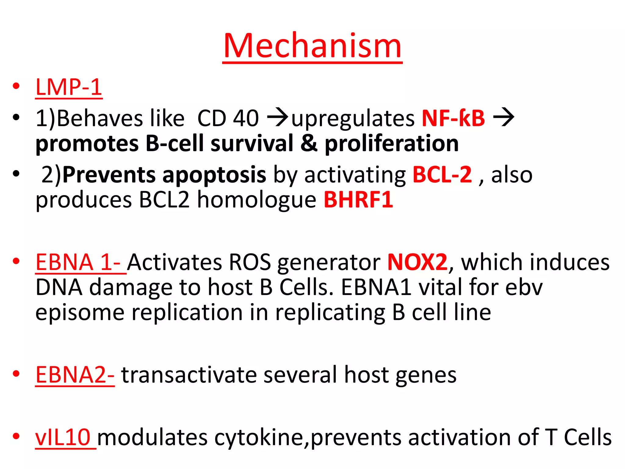 Microbial carcinogenesis - Molecular Mechanism of Cancer | PPTX