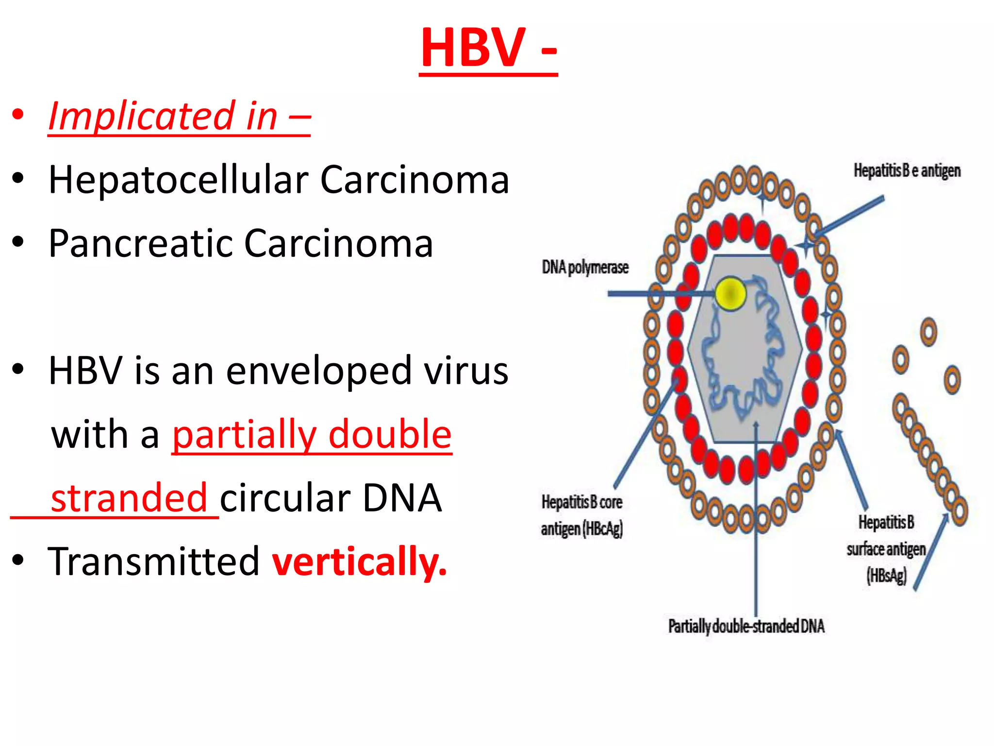 Microbial carcinogenesis - Molecular Mechanism of Cancer | PPTX