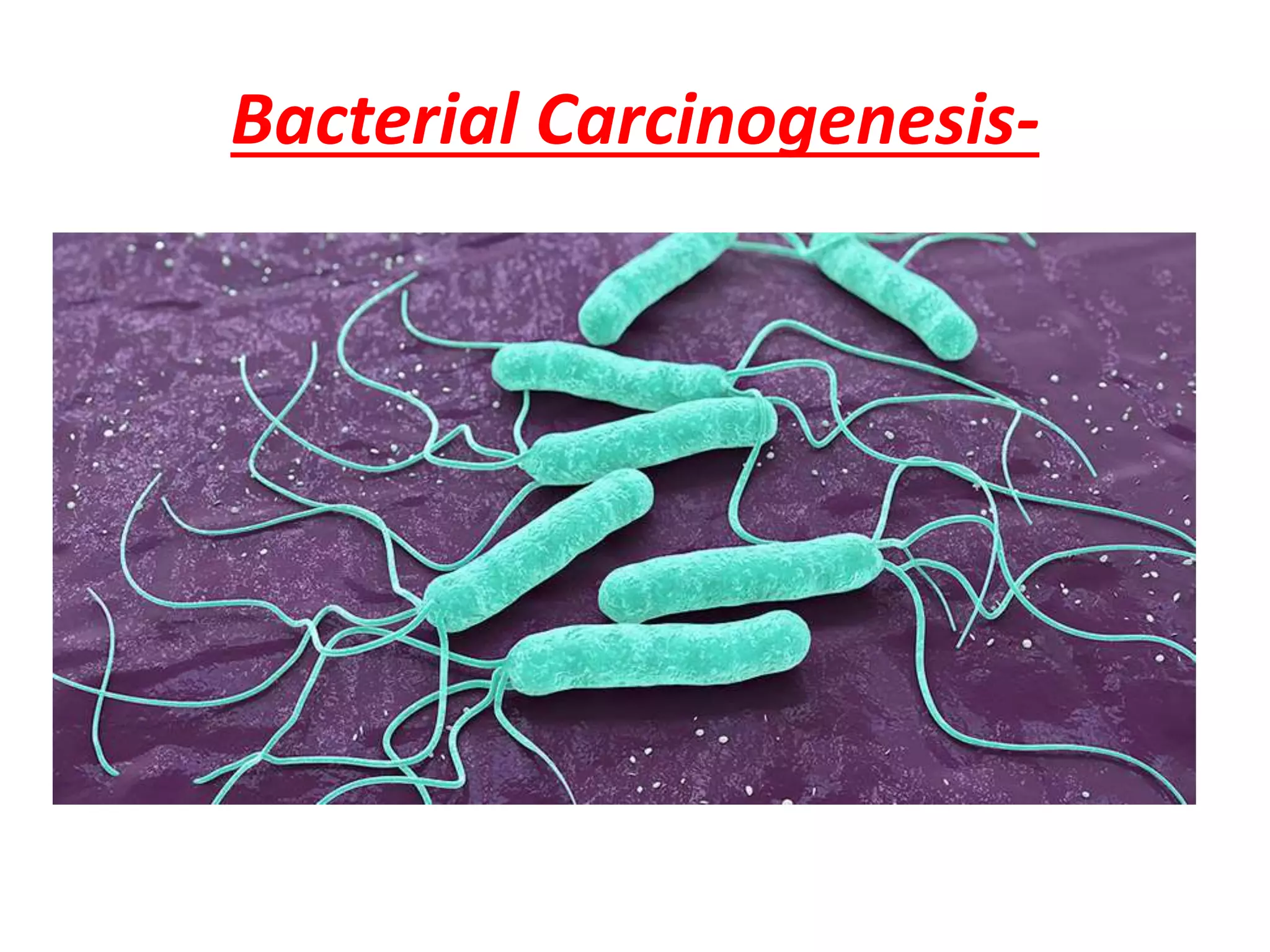 Microbial carcinogenesis - Molecular Mechanism of Cancer | PPTX