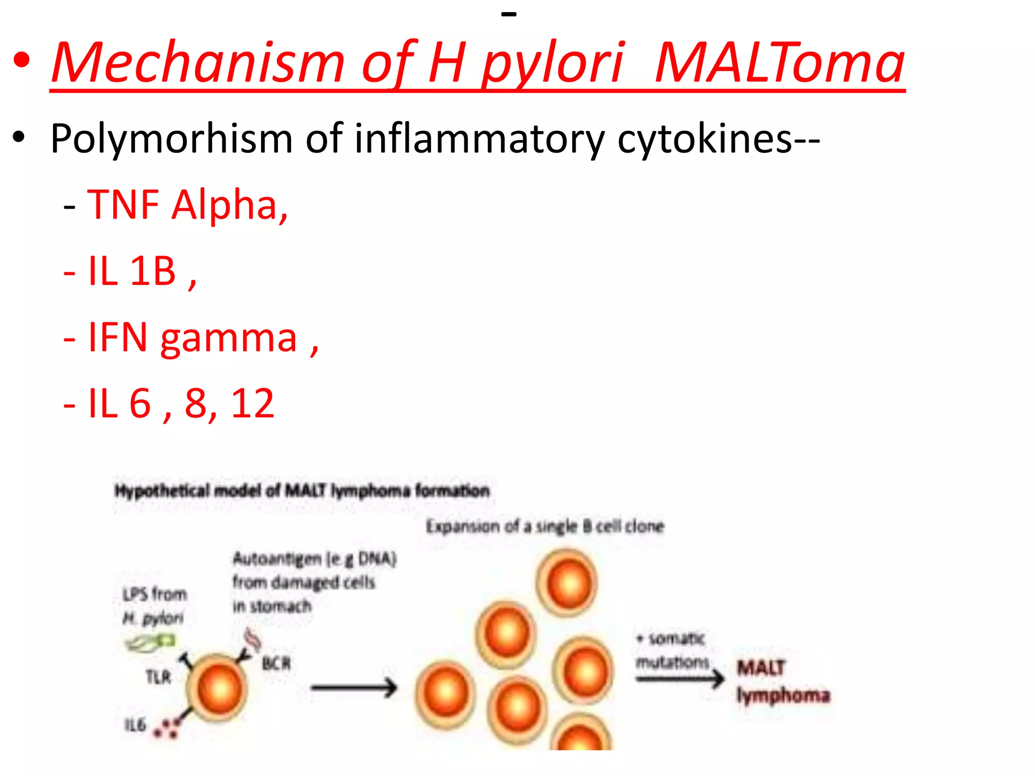 Microbial carcinogenesis - Molecular Mechanism of Cancer | PPTX