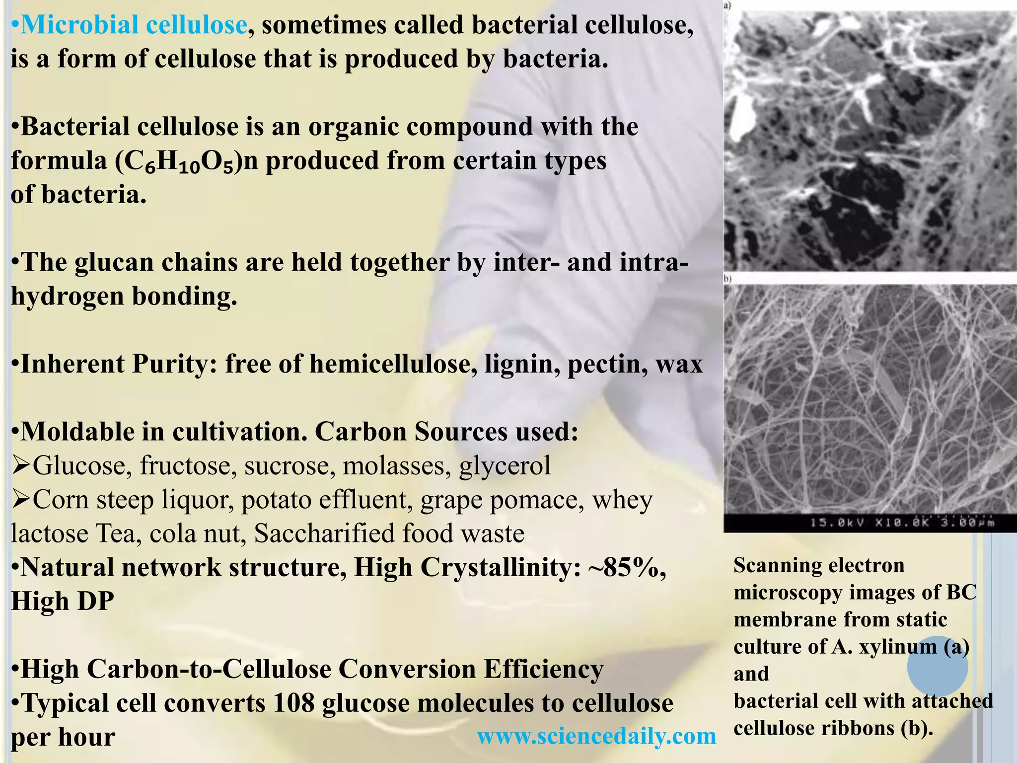 Microbial cellulose | PPTX