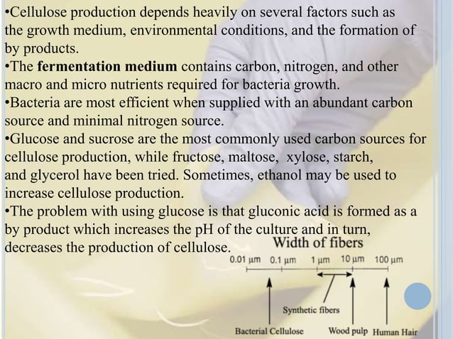 Microbial cellulose | PPTX