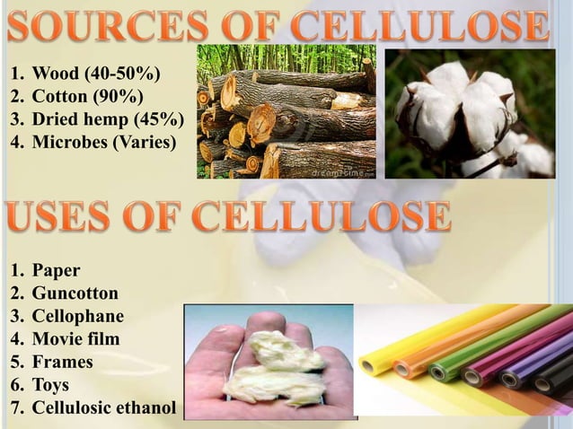 Microbial cellulose | PPTX