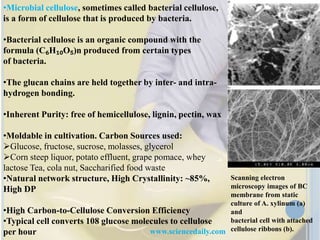 Microbial cellulose | PPTX
