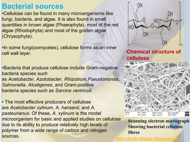 Microbial cellulose | PPTX