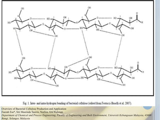 Microbial cellulose | PPT