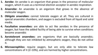 Microbial classification.pptx