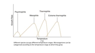 Microbial classification.pptx
