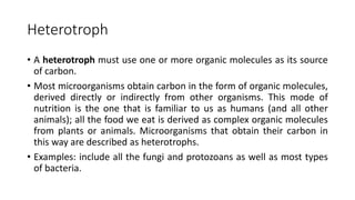 Microbial classification.pptx