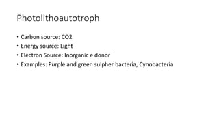 Microbial classification.pptx