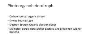 Microbial classification.pptx