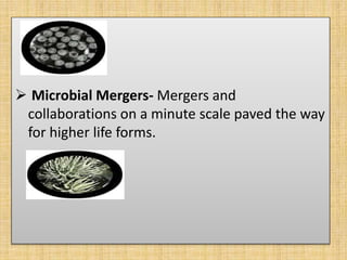 Microbial clock | PPTX