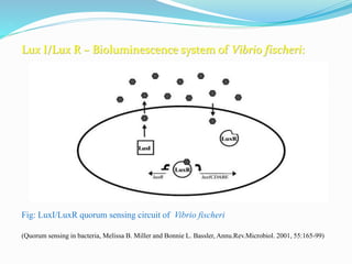Microbial communication systems | PDF