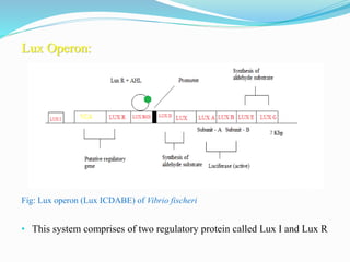 Microbial communication systems | PDF