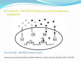 Microbial communication systems | PDF