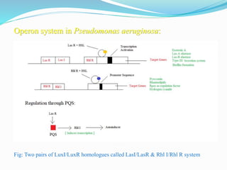 Microbial communication systems | PDF