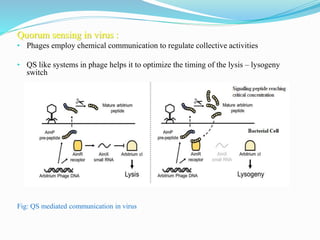 Microbial communication systems | PDF
