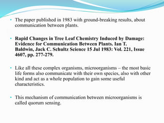 Microbial communication systems | PDF