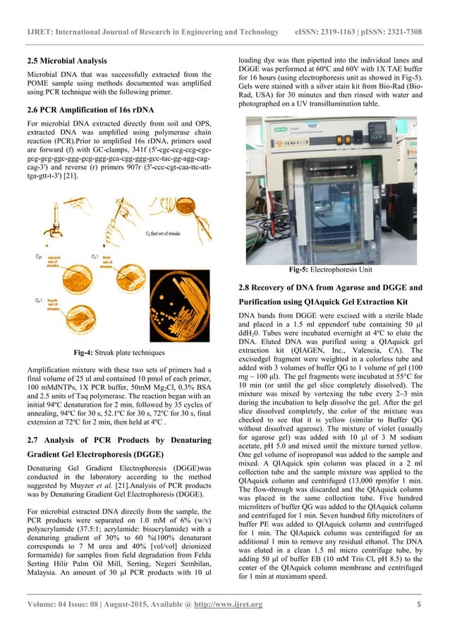 Microbial community analysis in anaerobic palm oil mill effluent (pome ...