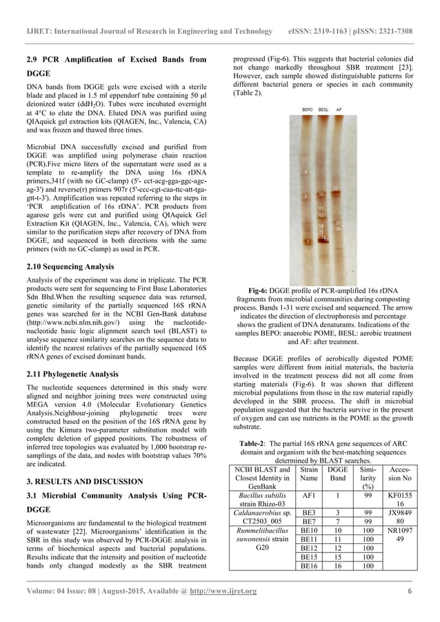 Microbial community analysis in anaerobic palm oil mill effluent (pome ...