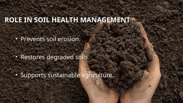 Microbial Composting for Soil Health (2).pptx