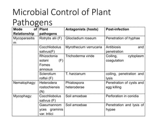 microbial conrrol.pptx
