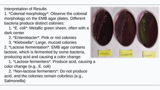 microbial contamination in herbs......... | PPTX