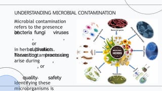 microbial contamination in herbs......... | PPTX