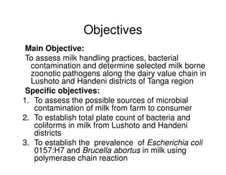Microbial contaminations in milk and identification of selected ...