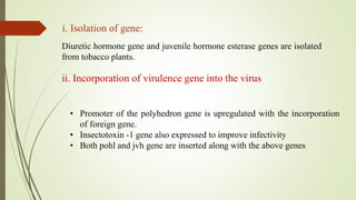 microbialcontrol-group02-190505151538.pdf