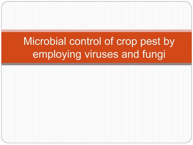 Microbial control of_crop_pest_by_employing_viruses | PPTX