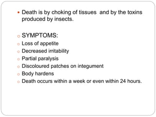 Microbial control of_crop_pest_by_employing_viruses | PPTX